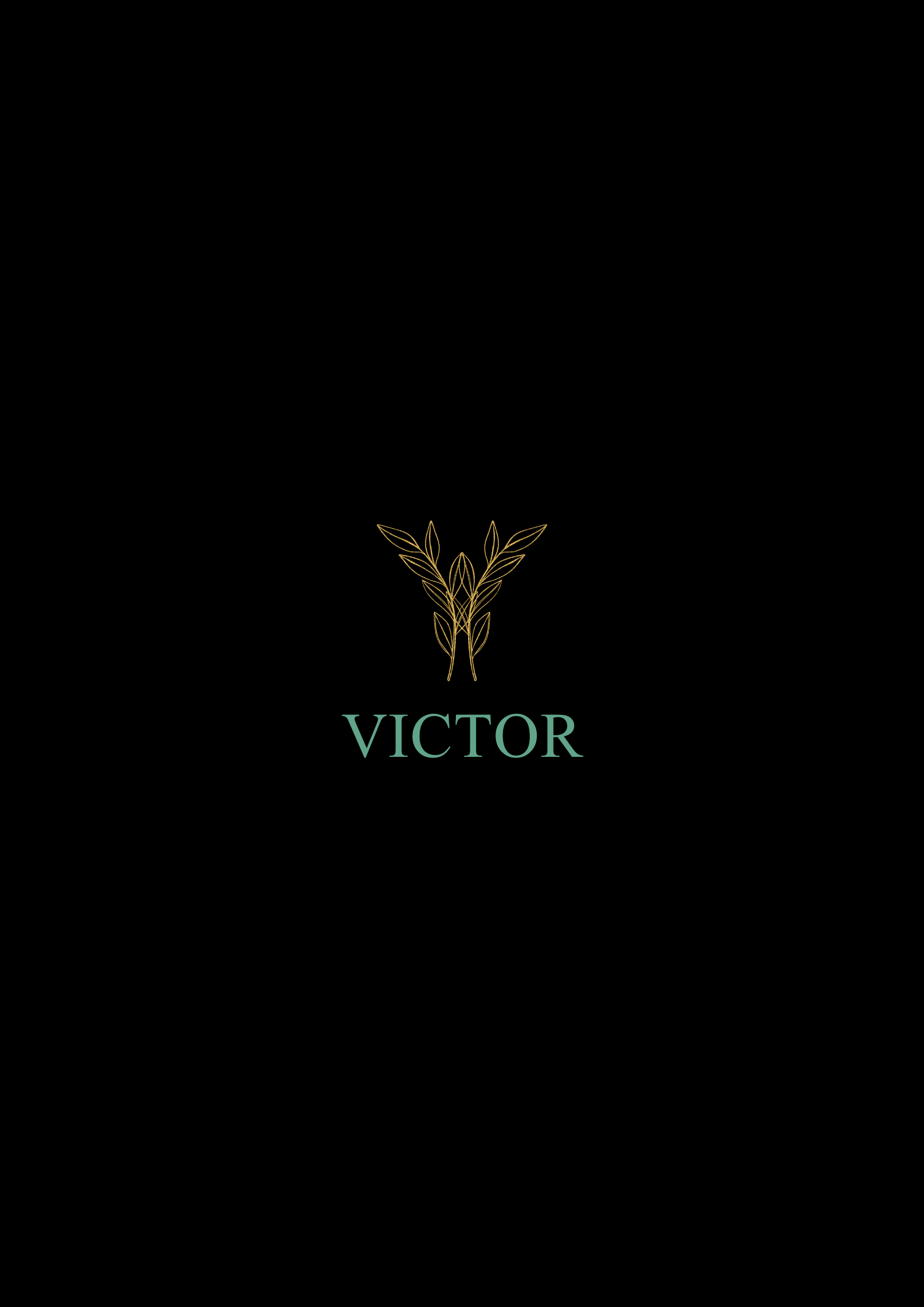 Victorcosmetics – victor